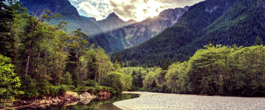 Best Maple Ridge Pest Control 2023 - Pest Control services